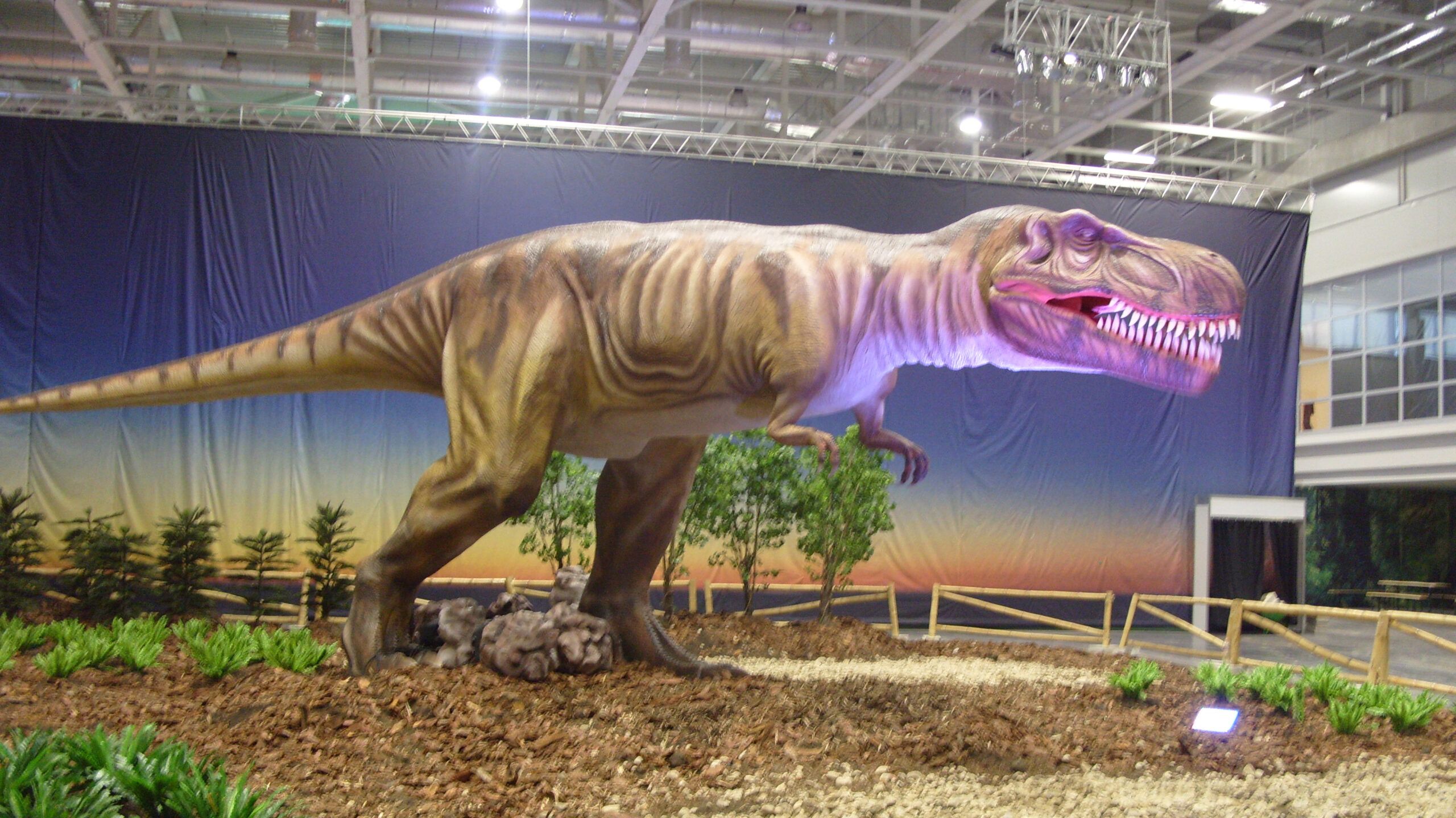 Animatronic Giganotosaurus CCAD-003 | Produce Animatronic Artworks for ...