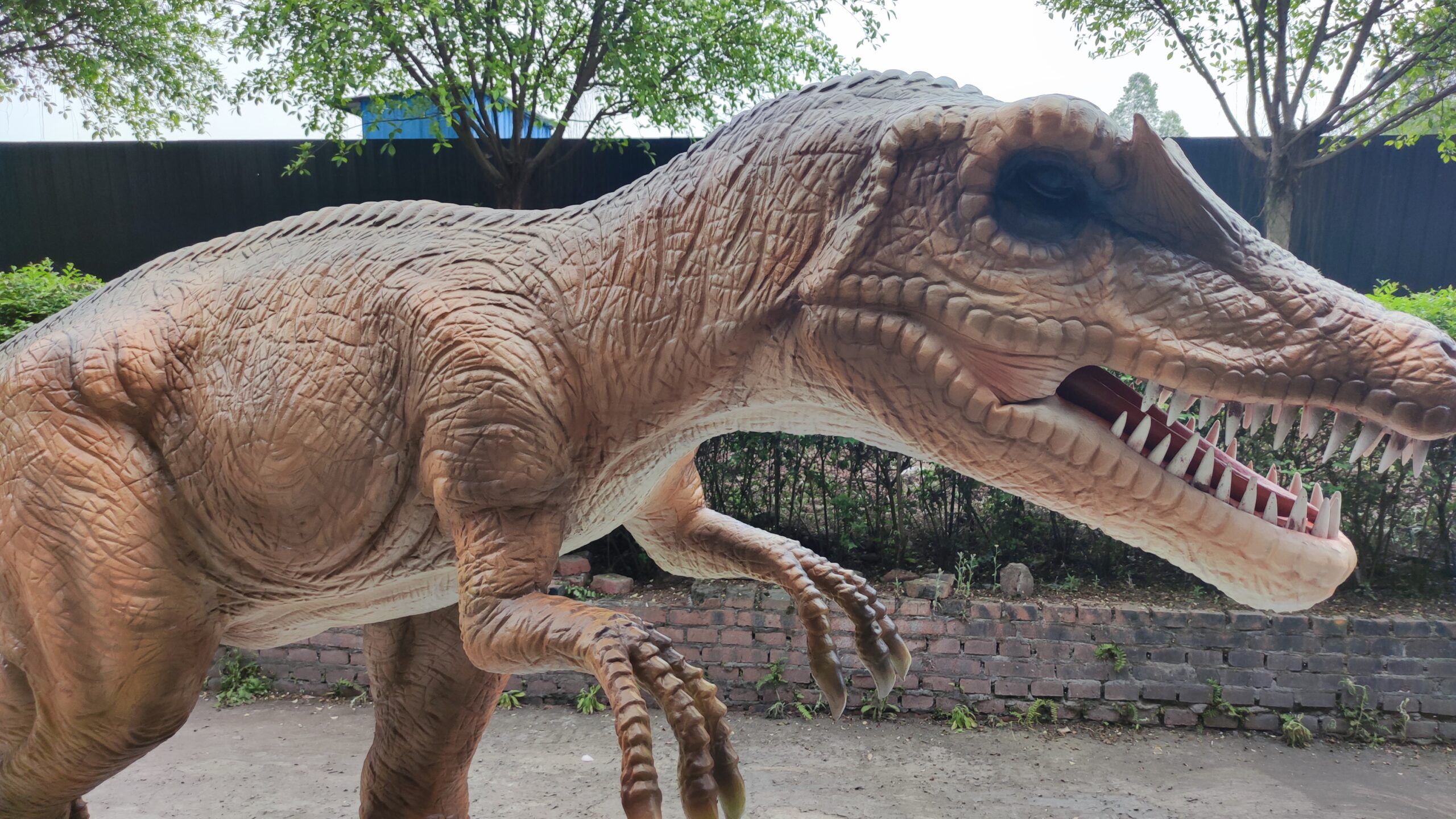 Animatronic Allosaurus CCAD-062 | Produce Animatronic Artworks for ...