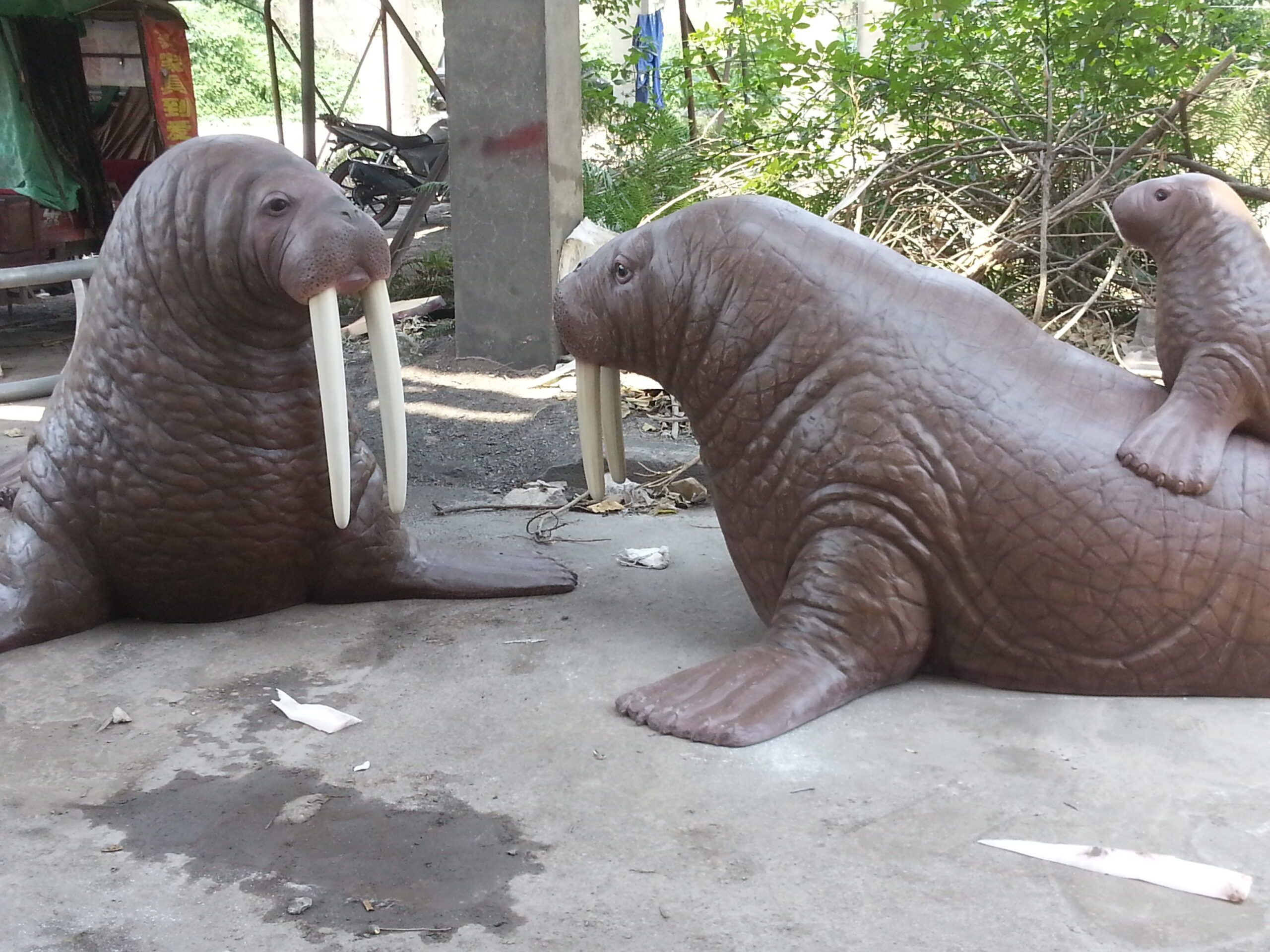Fiberglass Walrus CCAC-083 | Produce Animatronic Artworks for Parks ...