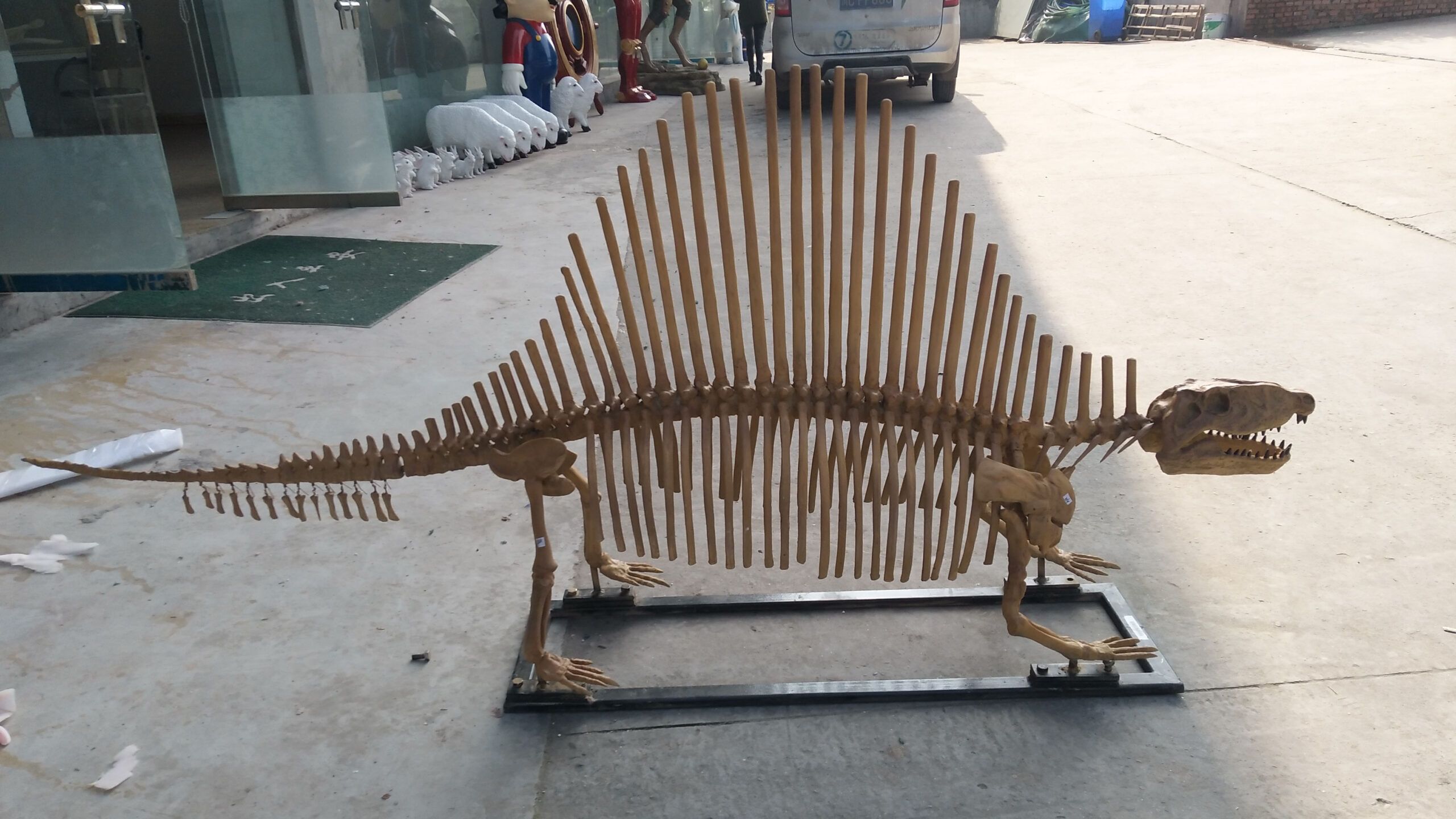 Dimetrodon Skeletons CCAF-024 | Produce Animatronic Artworks for Parks ...