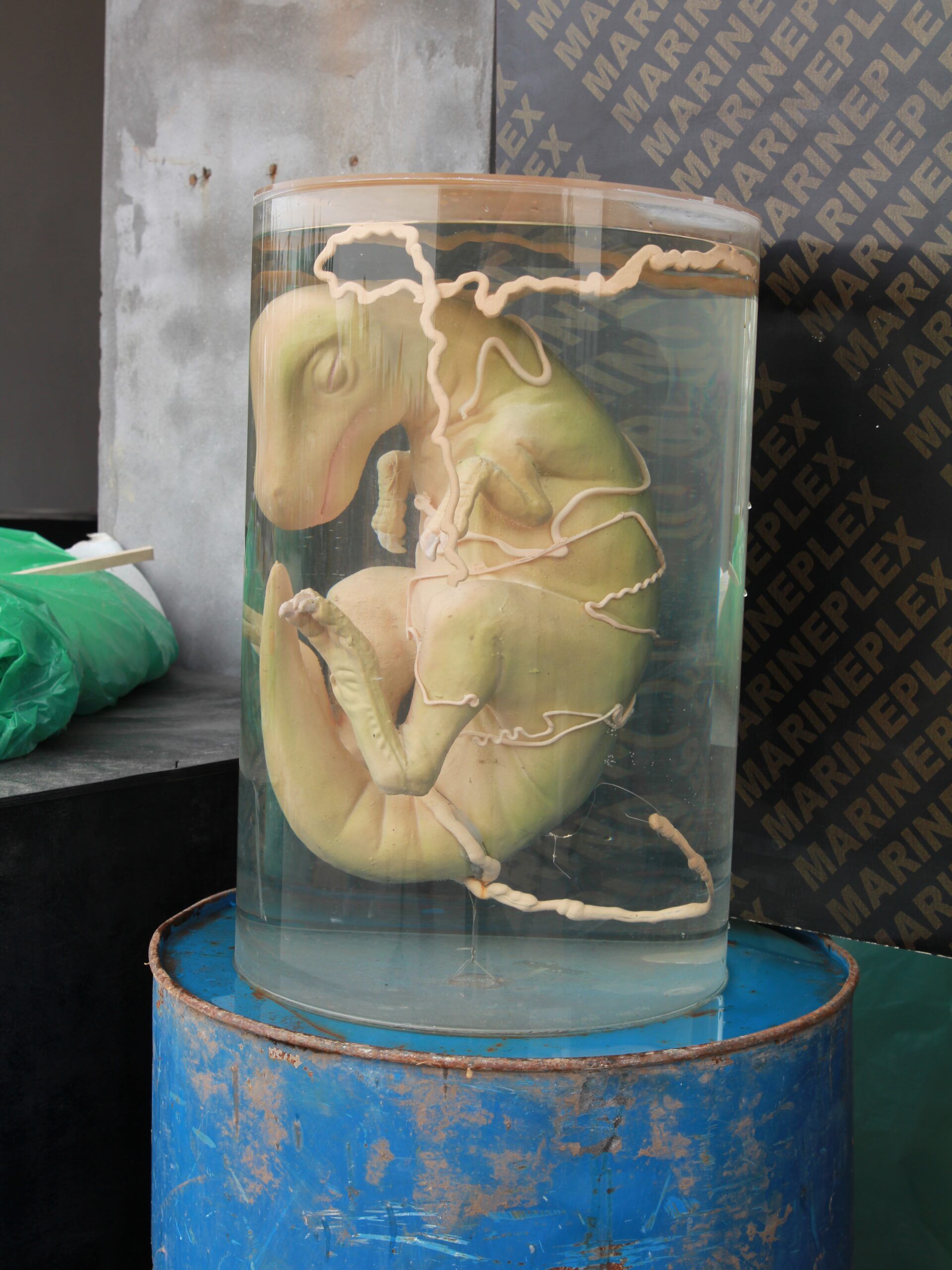 Customized Dinosaur Embryo CCAM-012 | Produce Animatronic Artworks for ...