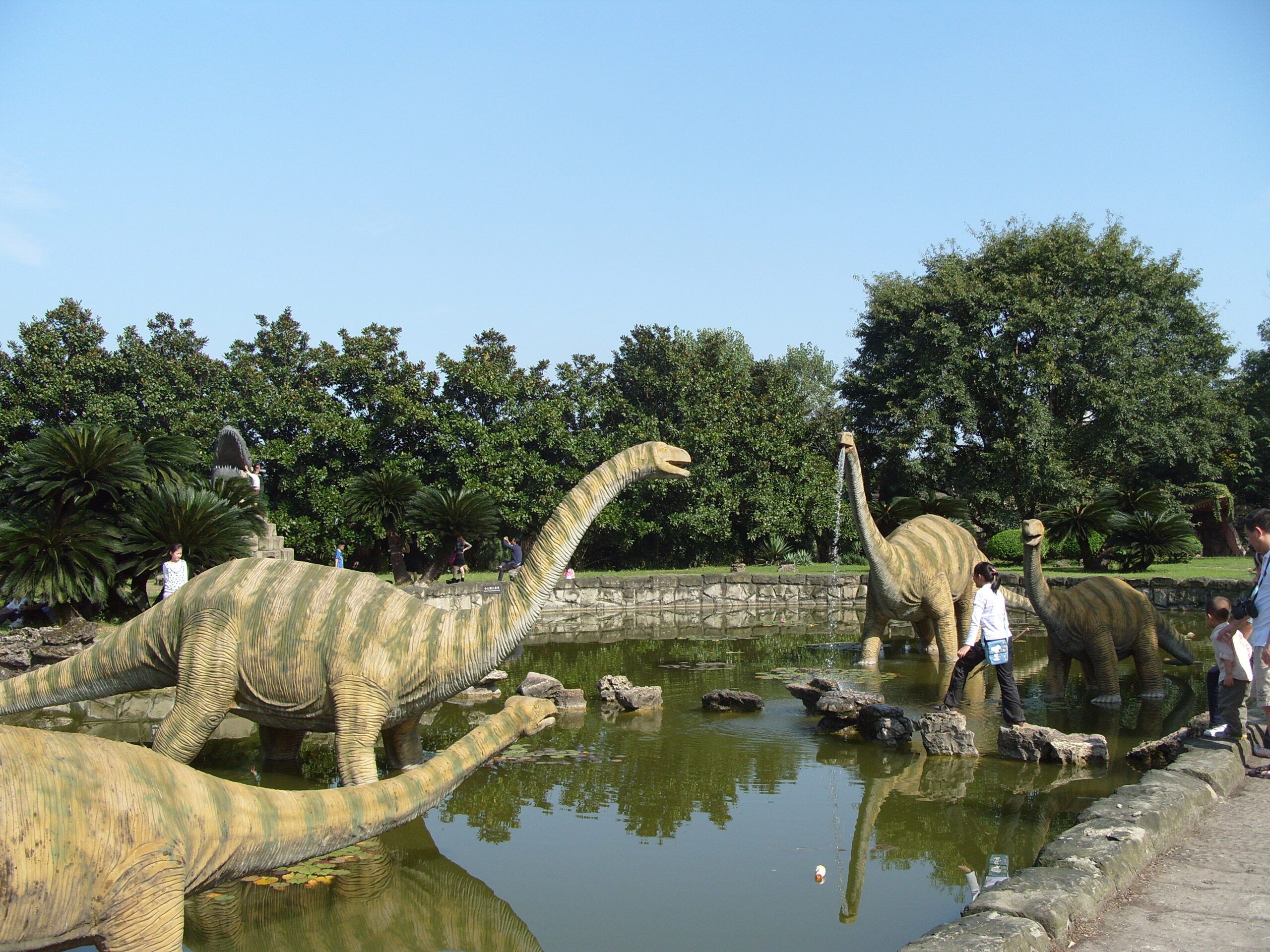 Fiberglass Shunosaurus CCAC-121 | Produce Animatronic Artworks for ...